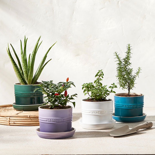 Gifts Mom Will Love | Le Creuset® Official Site