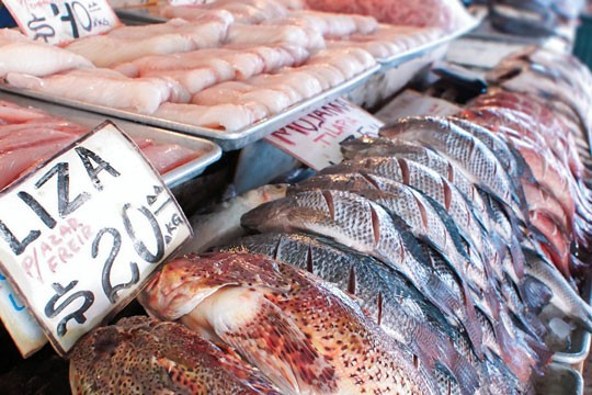 How to Use the Le Creuset Fish Baker | Le Creuset® Official Site